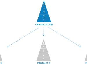 Competitive Advantage Diagram - Tronvig