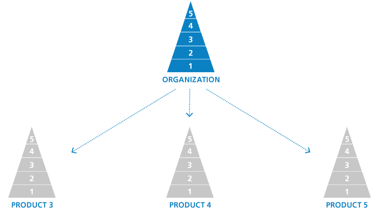 Product-Level Brand Strategy - Tronvig